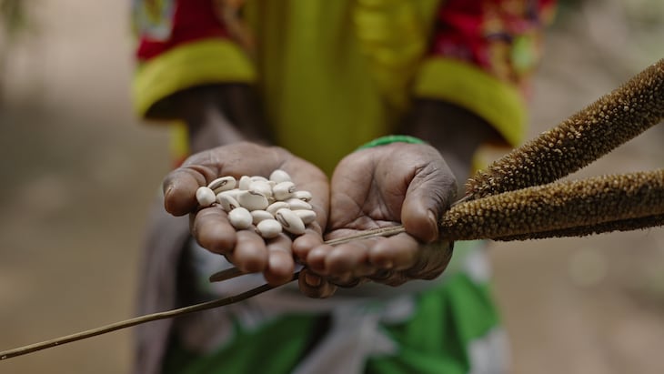 For the Culture with Amanda Parris | Season 2 | CBC Gem