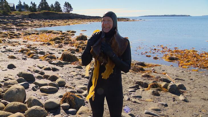 Land and Sea Network | Shows | CBC Gem