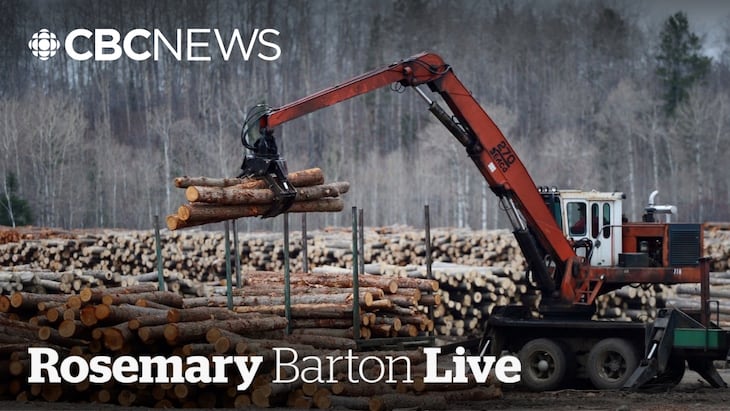 Rosemary Barton Live | Shows | CBC Gem
